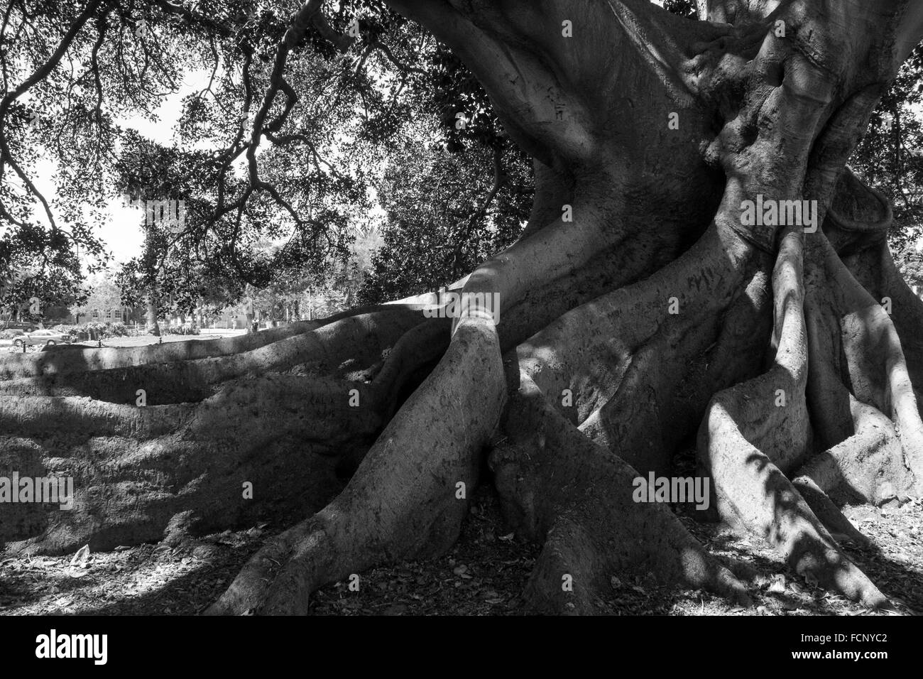 Enjoy the country Black and White Stock Photos & Images - Alamy