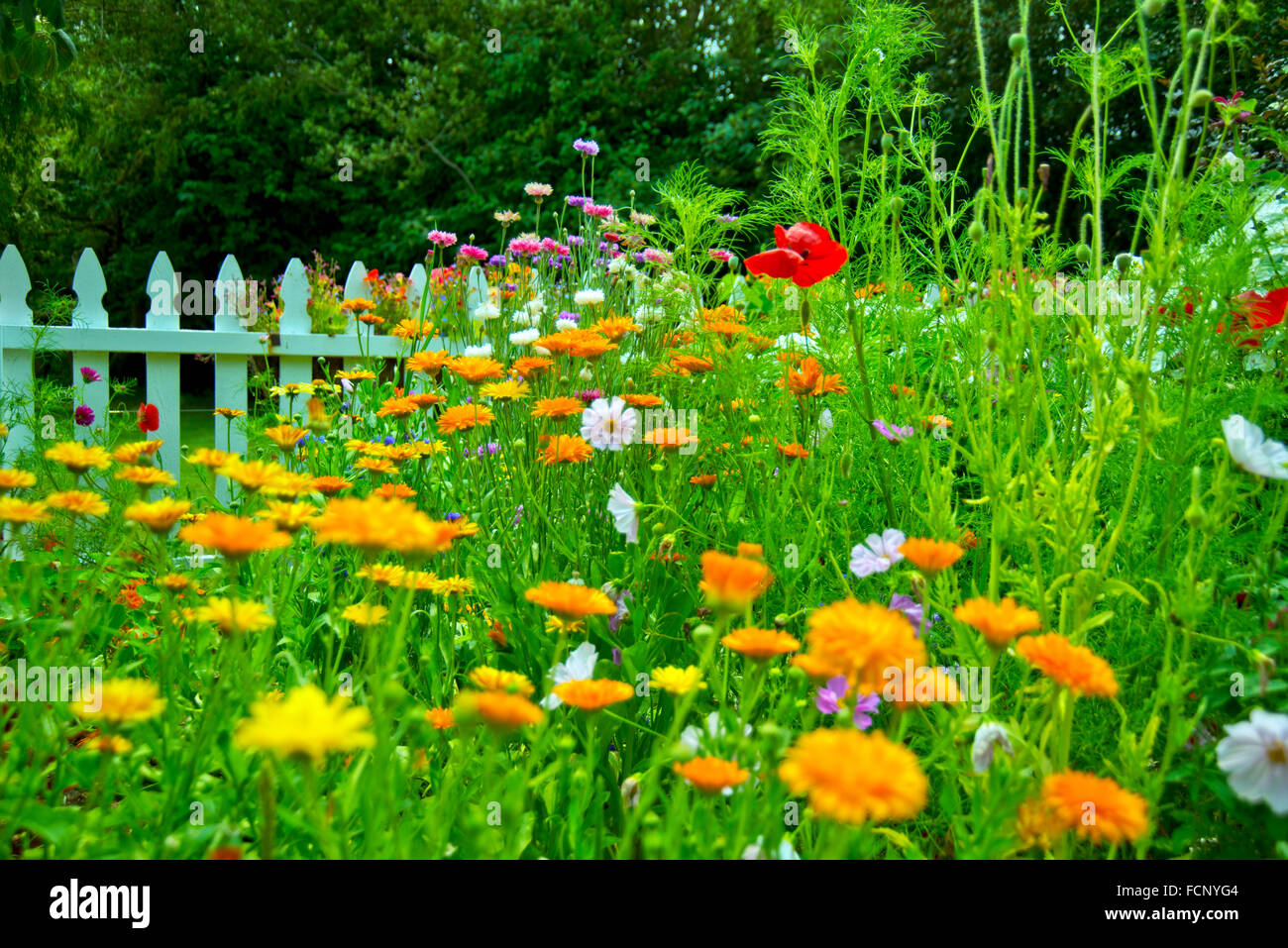 Fcnyg4 hi-res stock photography and images - Alamy