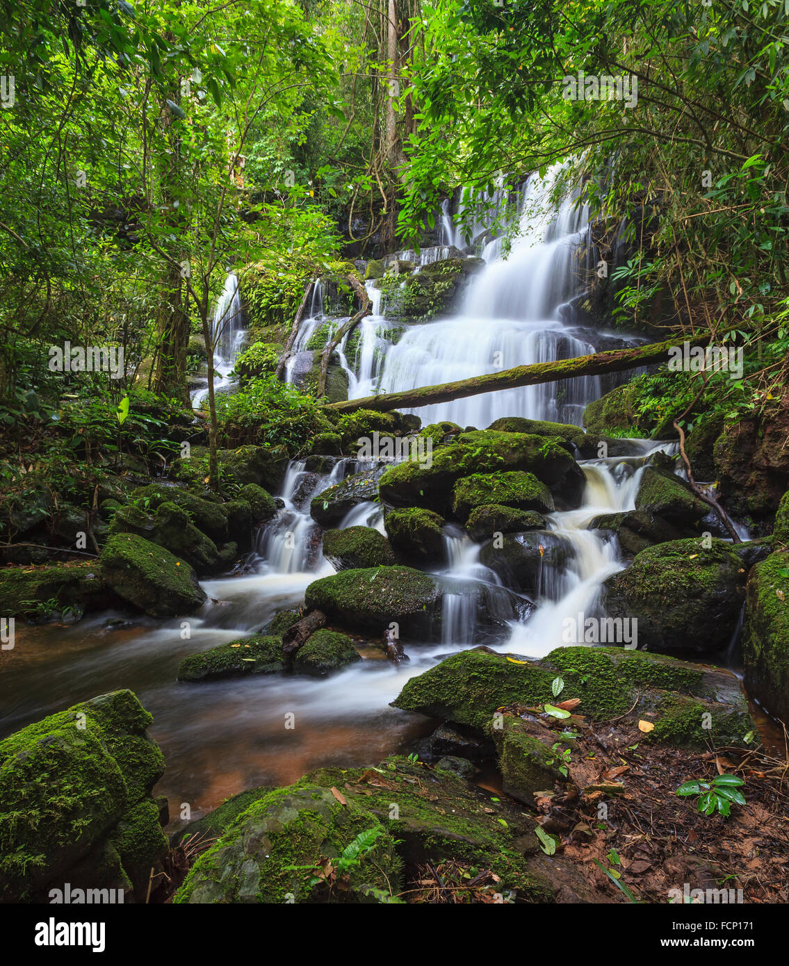 tropical waterfall in Deep forest Stock Photo - Alamy