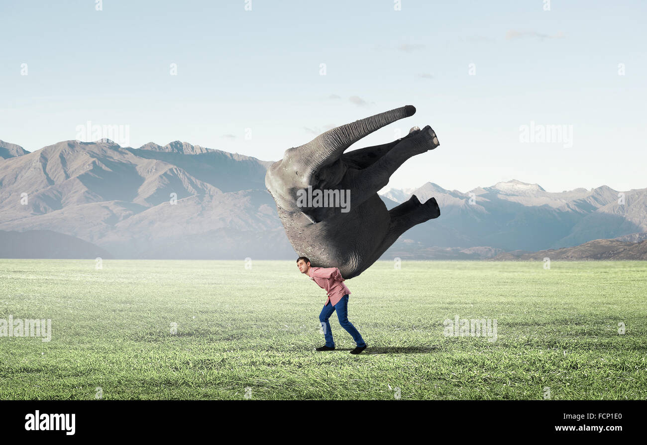 Young man carrying heavy elephant on his back Stock Photo - Alamy