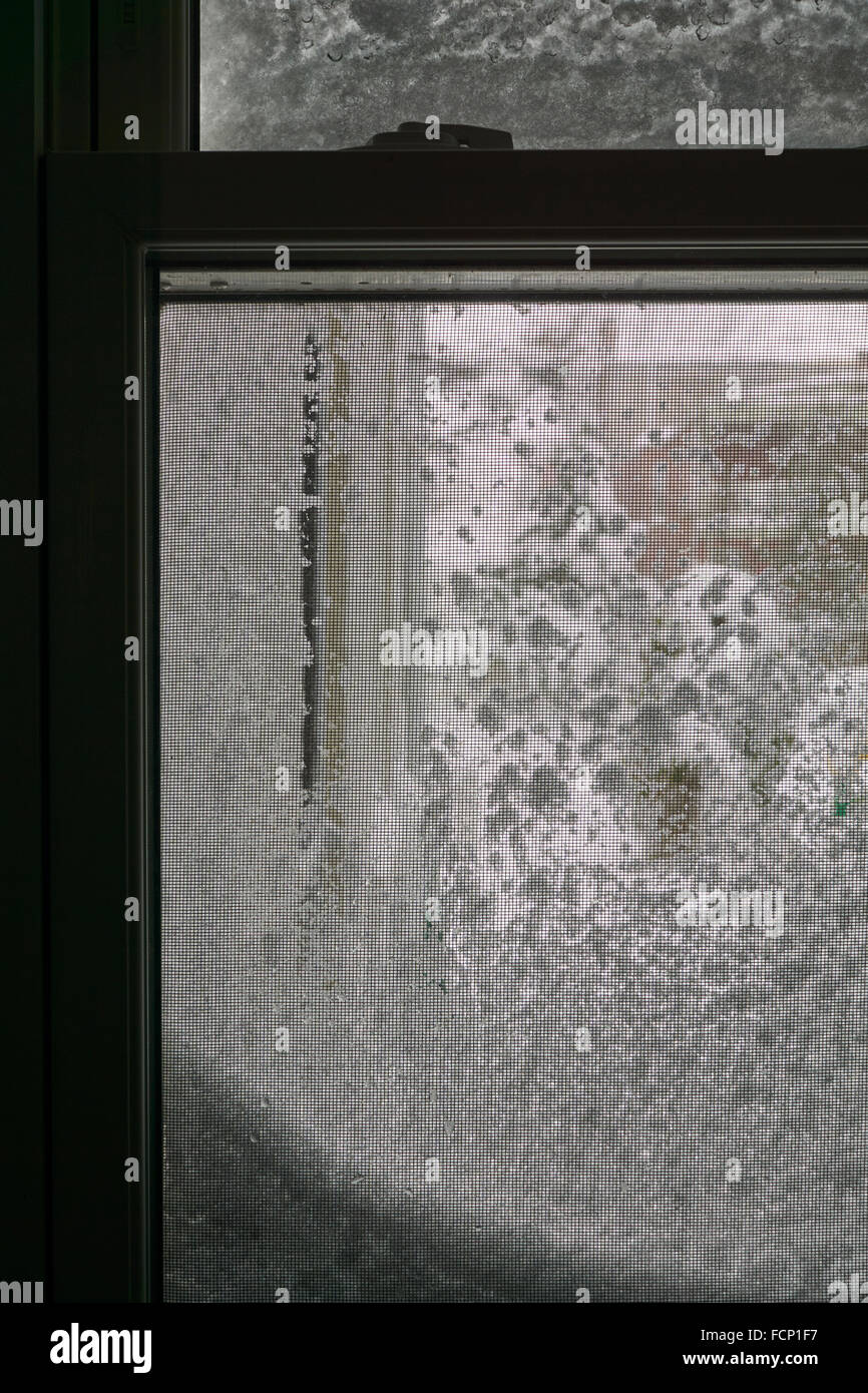 Snow piling up outside a home window, Pennsylvania, USA Stock Photo - Alamy