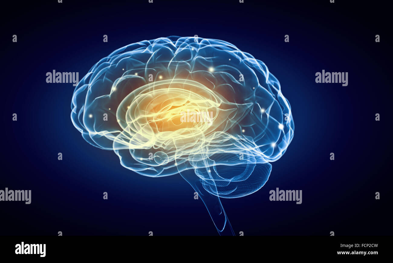 Concept of human intelligence with human brain on blue background Stock ...