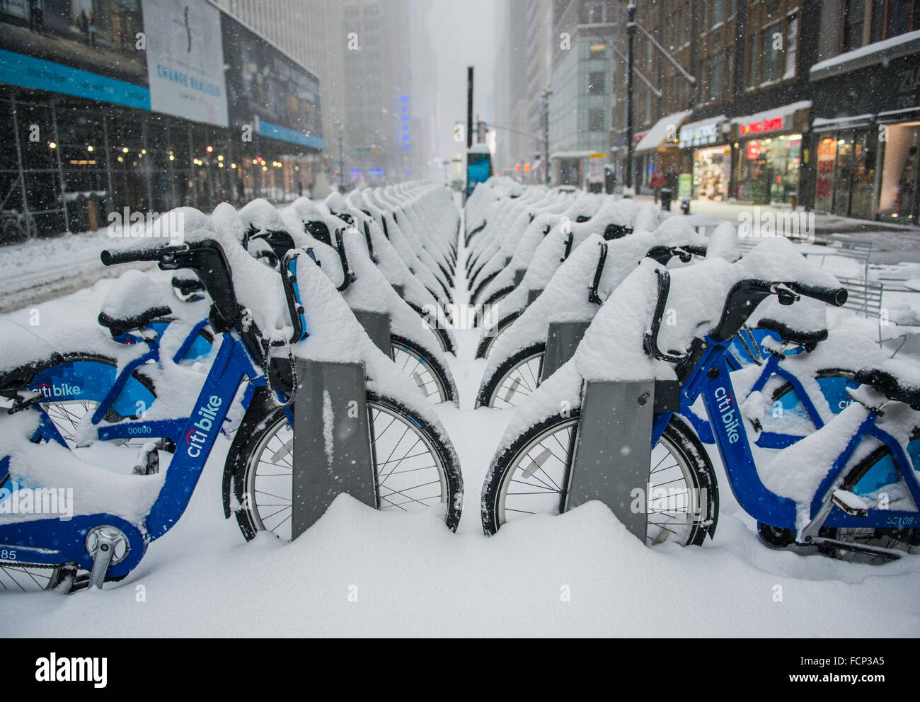 New York, USA. 23rd Jan, 2016. Snow covered rental bikes in Midtown ...
