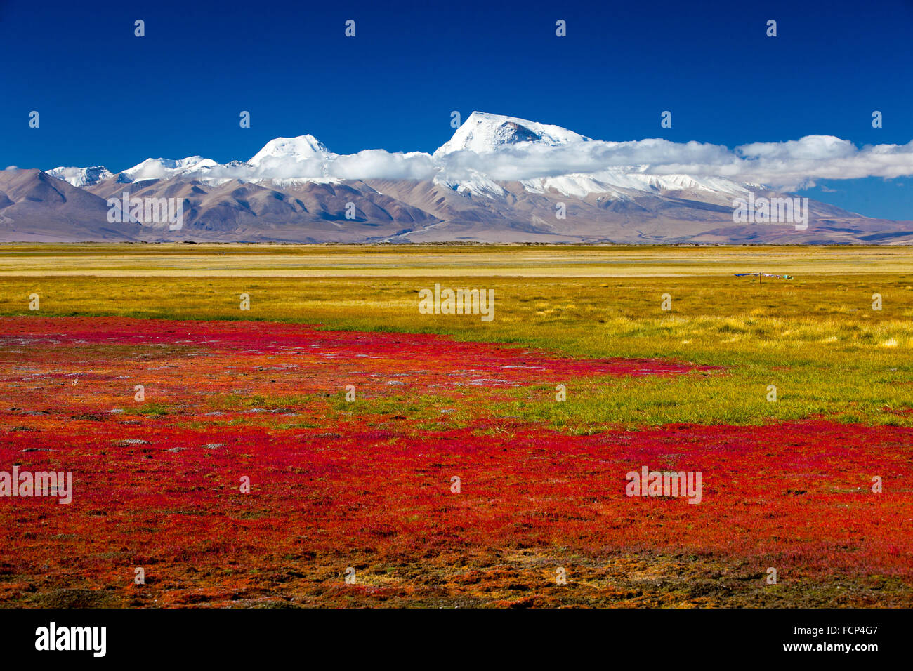 Gurla hi-res stock photography and images - Alamy