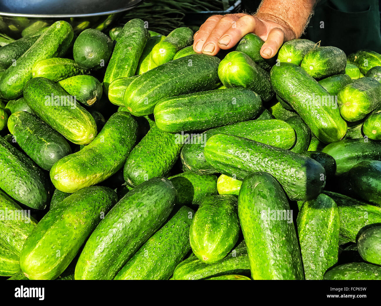 Display of fresh cucumbers at local market stall Stock Photo - Alamy