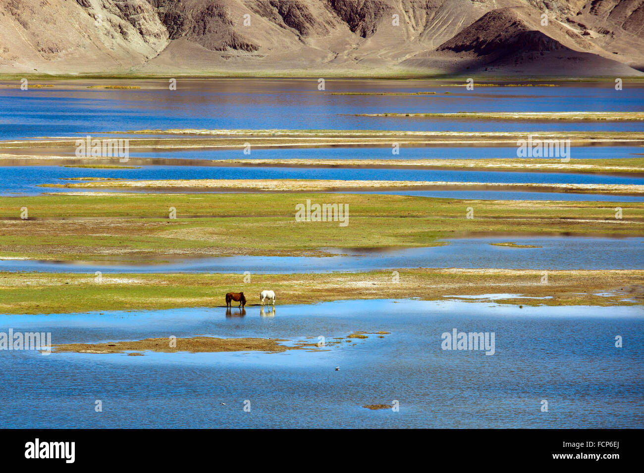 Rutog county pangongcuo hi-res stock photography and images - Alamy