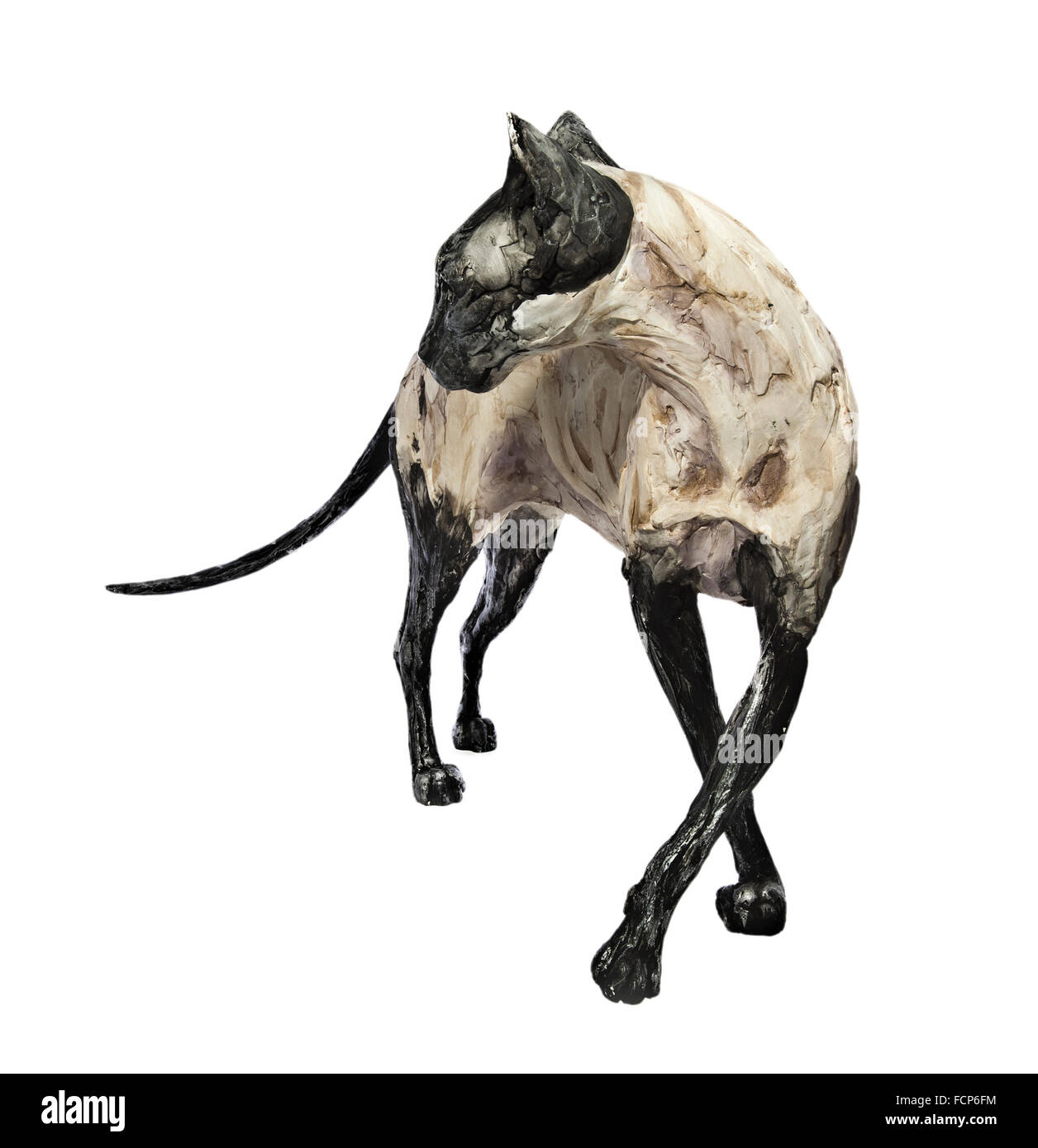 Siamese hi-res stock photography and images - Alamy