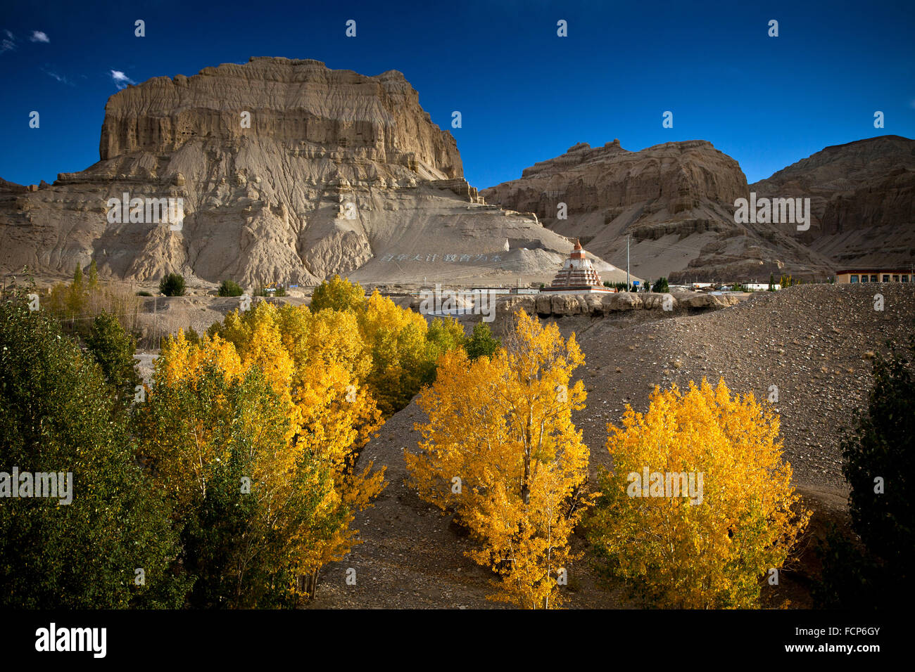 Tibet ali Zada forest landscape Stock Photo - Alamy