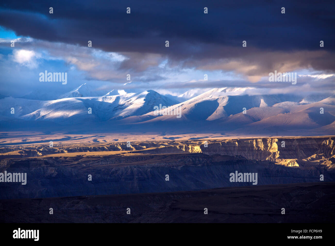 Tibet ali Zada forest landscape Stock Photo - Alamy