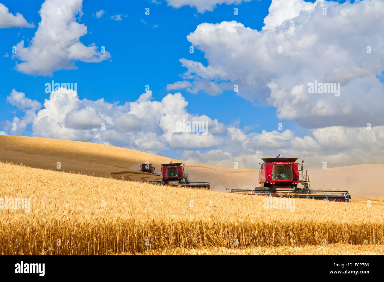 Combines harvesting wheat in the Palouse region of Washington Stock ...