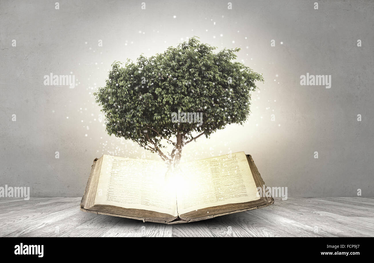 Tree growing from book hi-res stock photography and images - Alamy