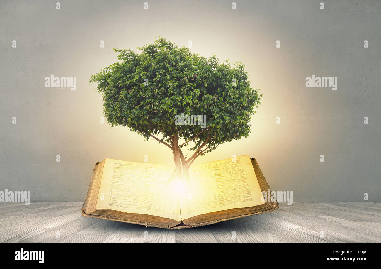Conceptual image with green tree growing from book Stock Photo - Alamy