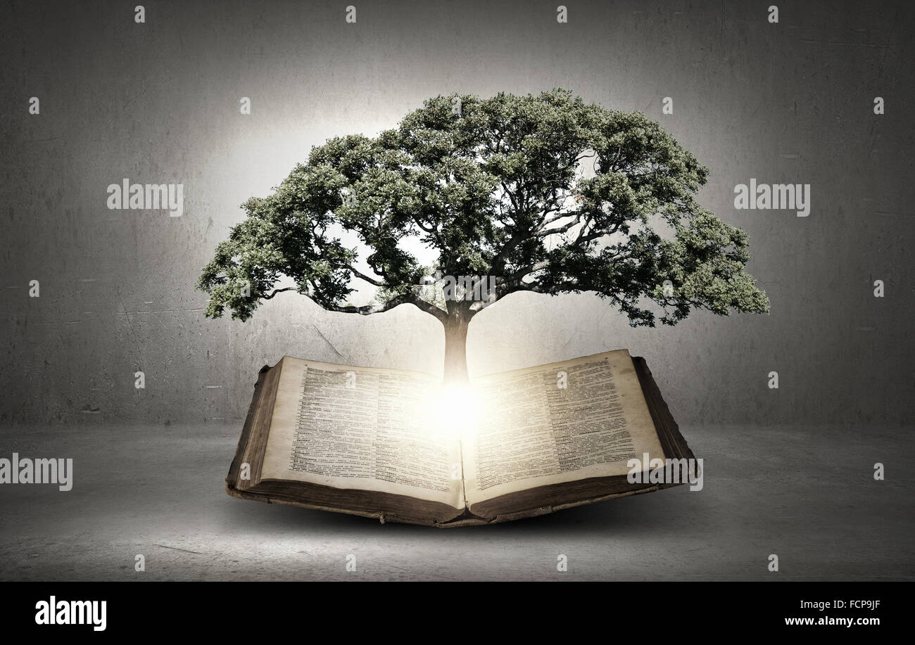 Tree growing from book hi-res stock photography and images - Alamy