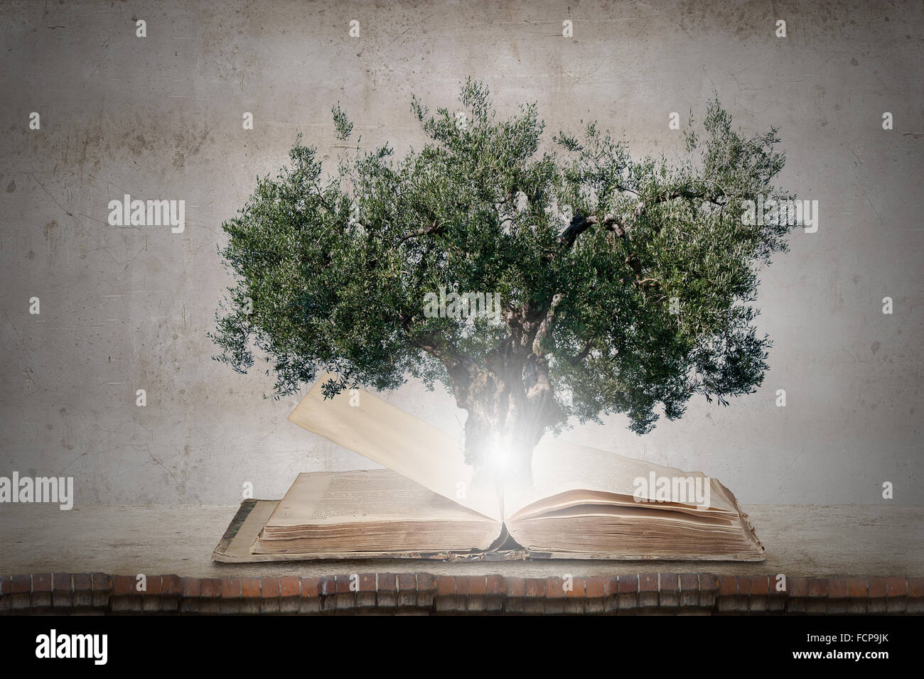 Conceptual image with green tree growing from book Stock Photo - Alamy