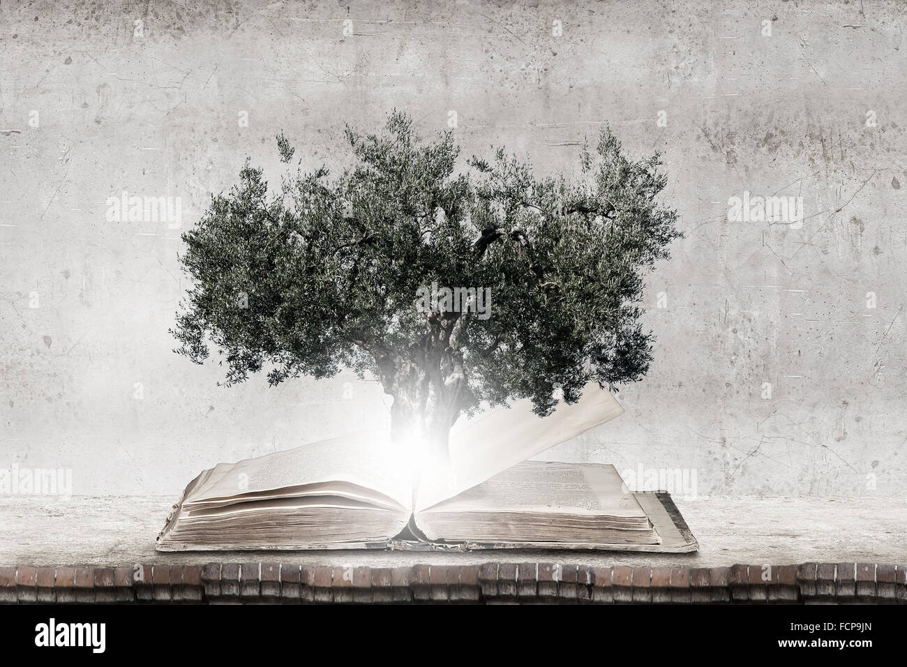 Conceptual image with green tree growing from book Stock Photo - Alamy