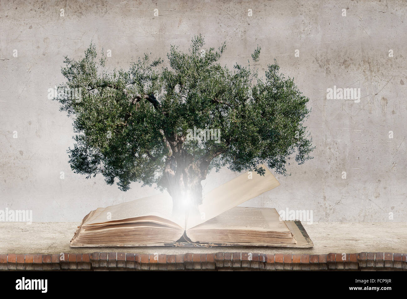 Conceptual image with green tree growing from book Stock Photo - Alamy
