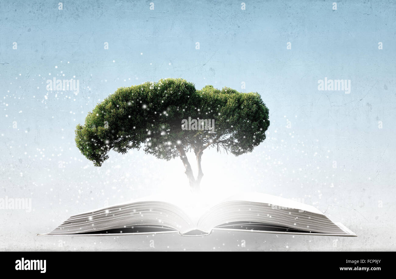 Conceptual image with green tree growing from book Stock Photo - Alamy