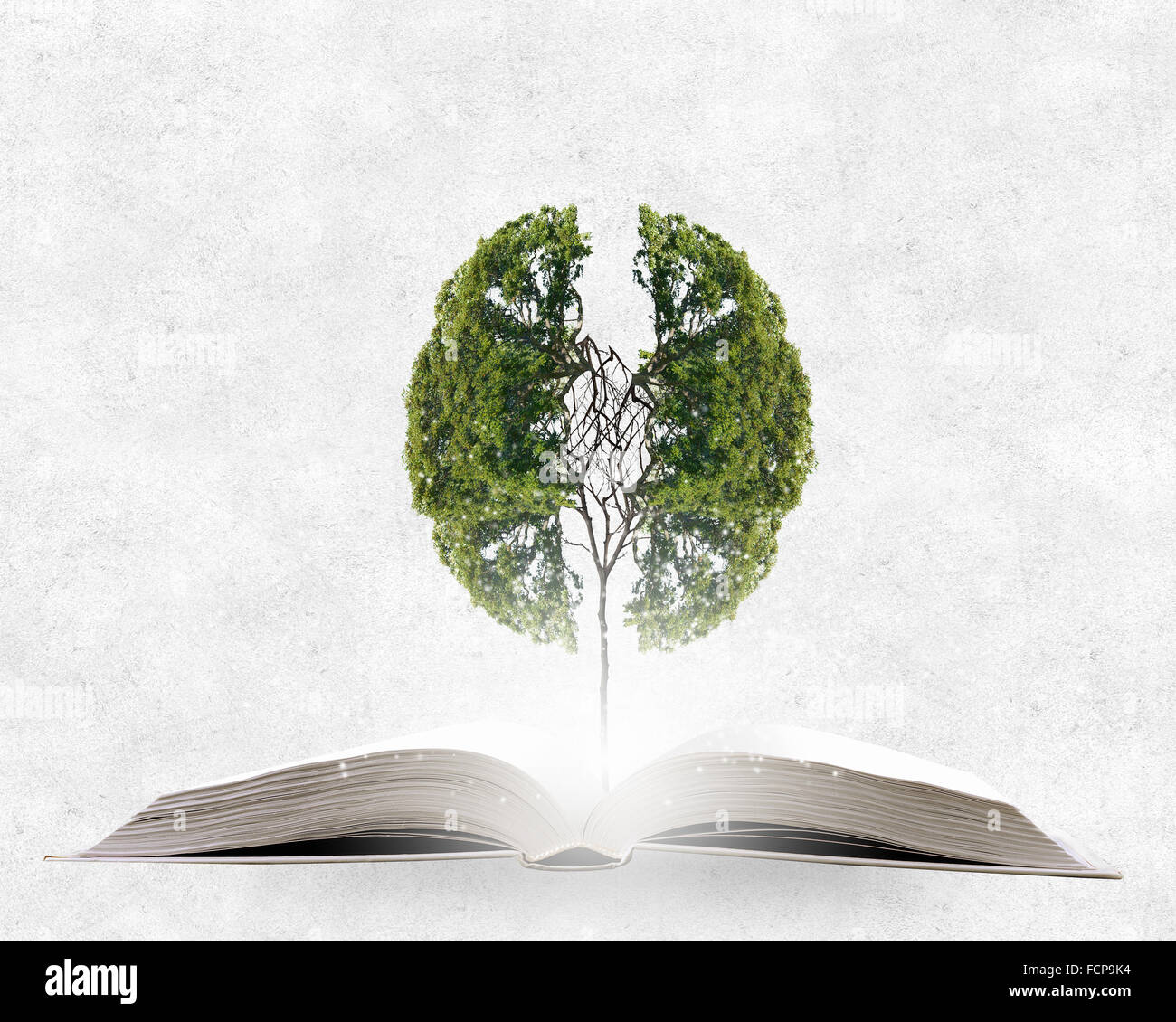 Brain tree concept tree growing hi-res stock photography and images - Alamy