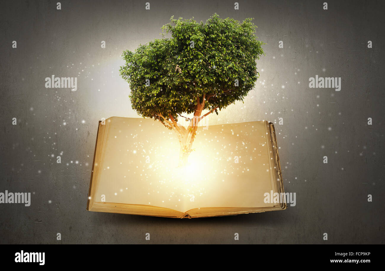 Conceptual image with green tree growing from book Stock Photo - Alamy