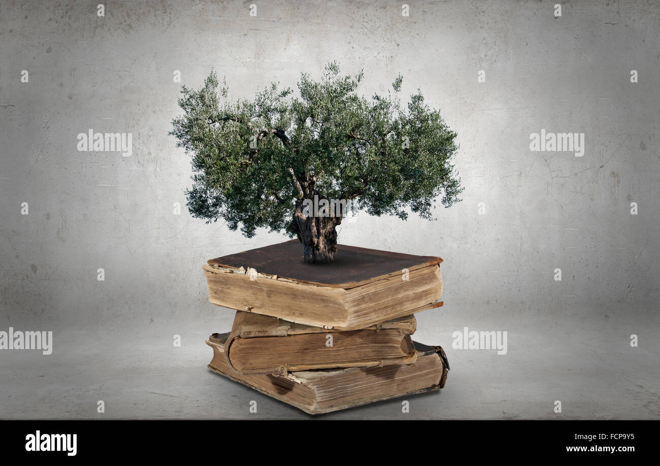 Conceptual image with green tree growing from book Stock Photo - Alamy