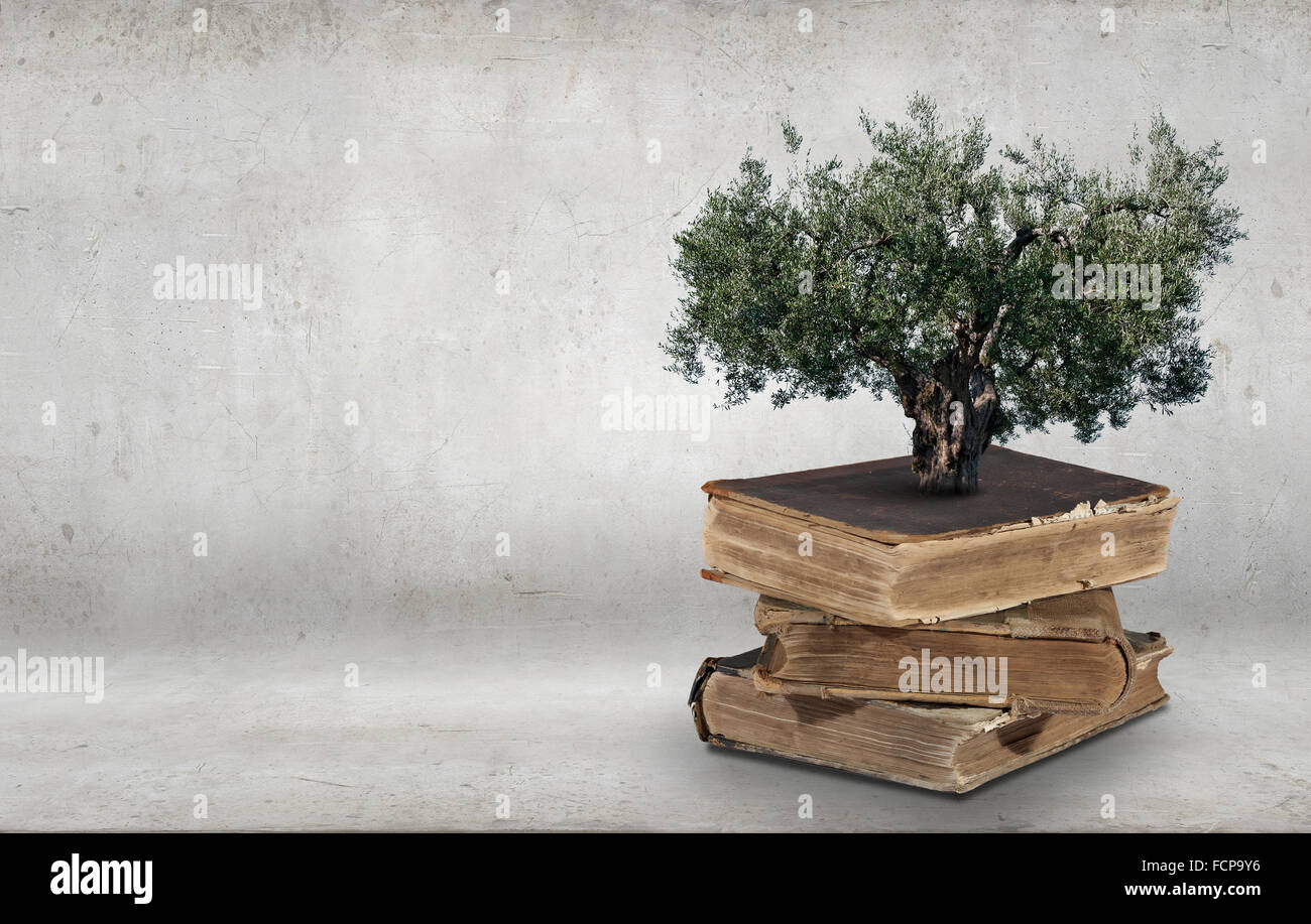 Conceptual image with green tree growing from book Stock Photo - Alamy