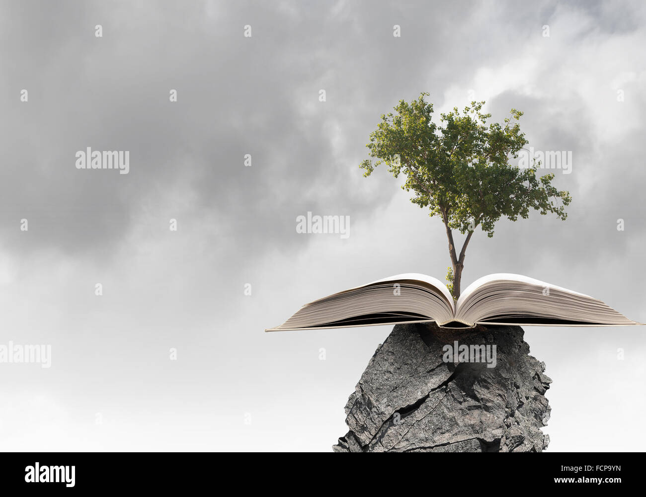 Conceptual image with green tree growing from book Stock Photo - Alamy