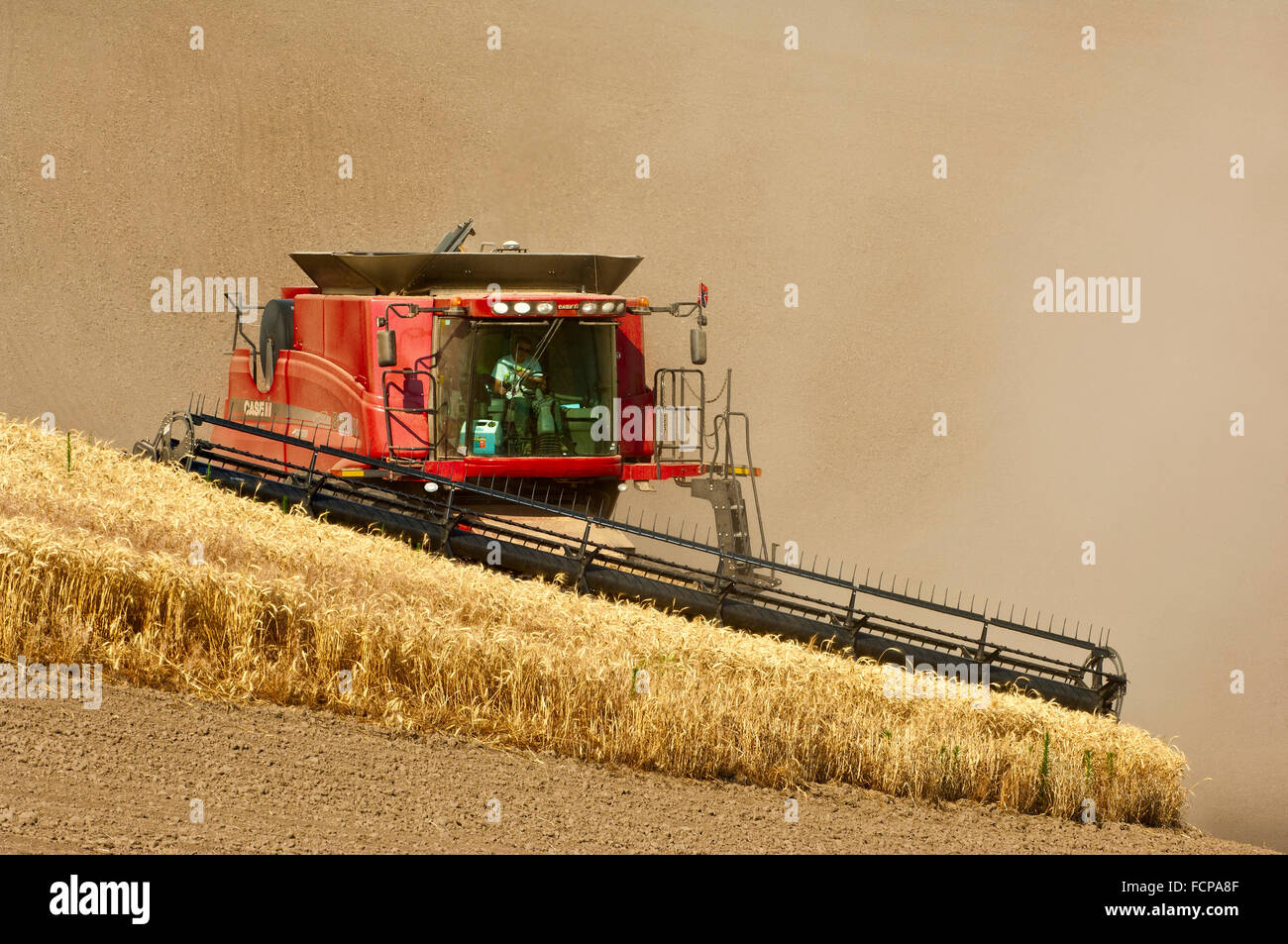 A Case combine harvests grain in the Palouse region of Easter ...