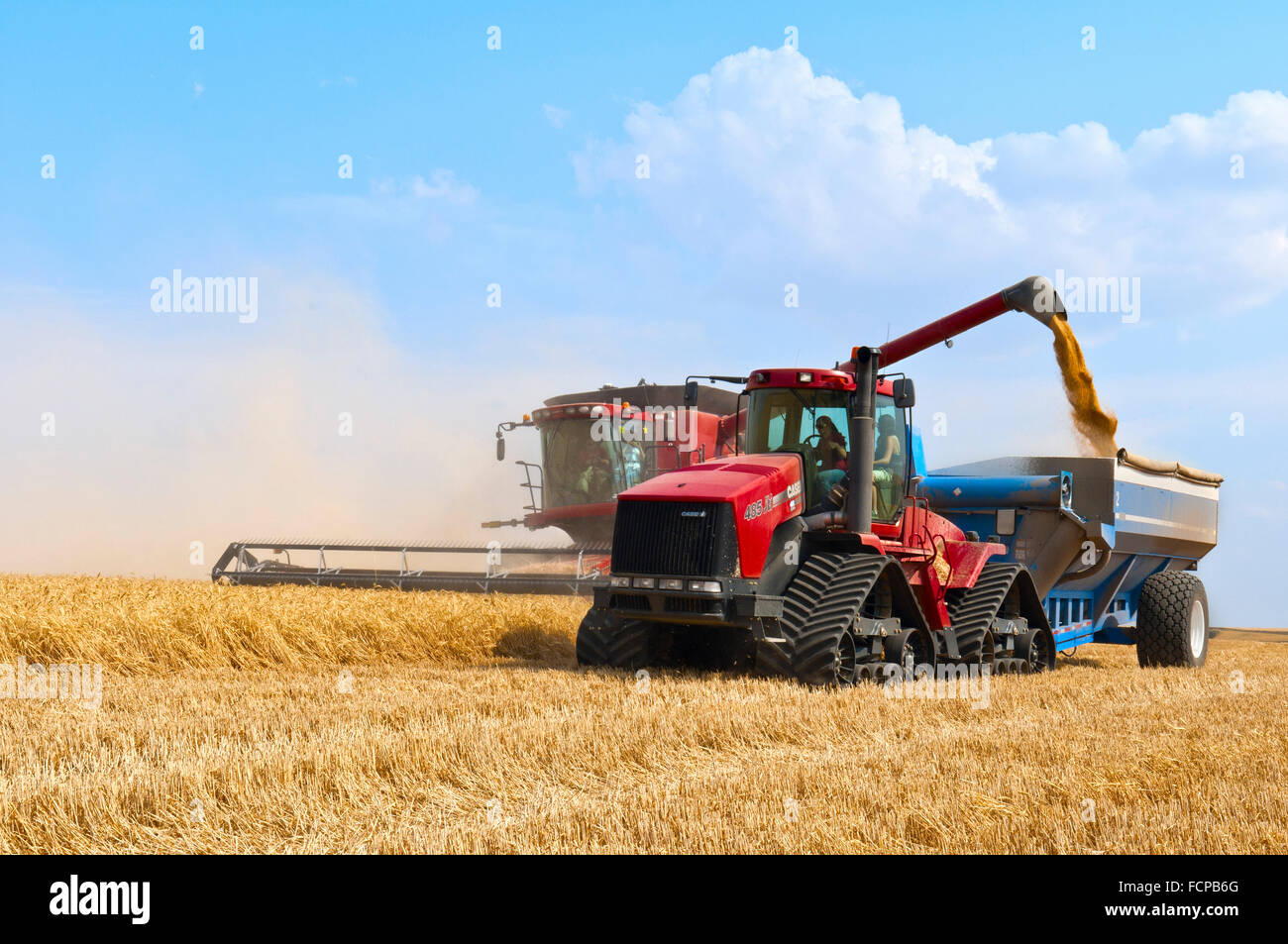 Case combine offloads grain to grain cart while harvesting grain in the ...