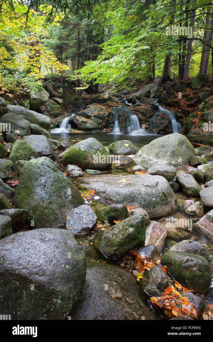 Rocky creek with small waterfall in the mountain forest Stock Photo - Alamy