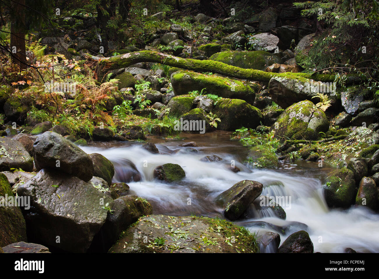 Mountain creek and mossy rocks hi-res stock photography and images - Alamy