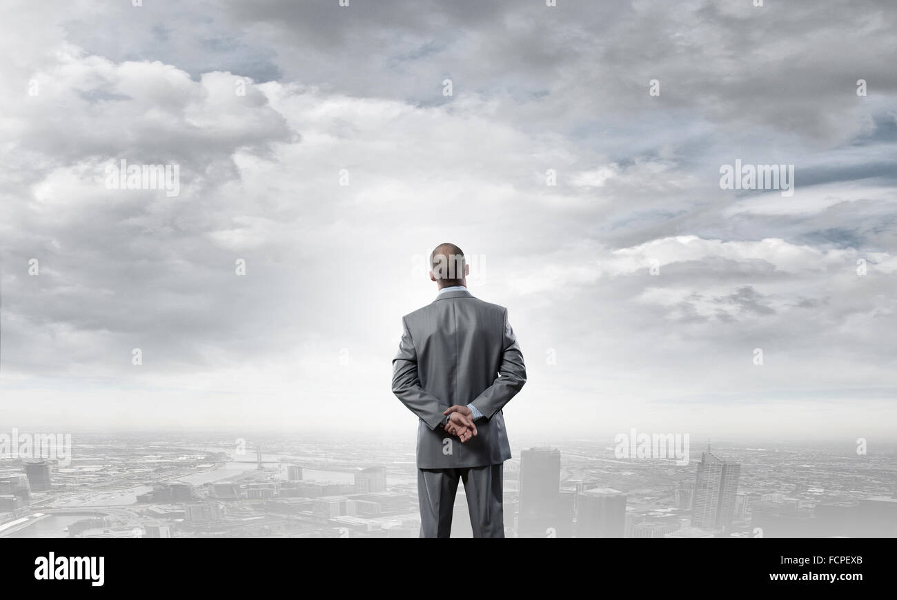 Rear view of businessman looking at business marketing strategy Stock ...