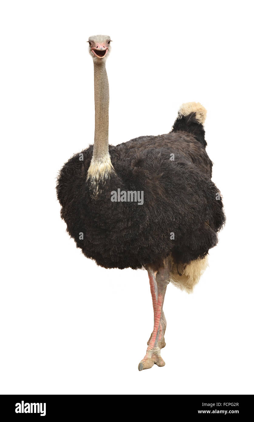 Background billboard black Cut Out Stock Images & Pictures - Alamy