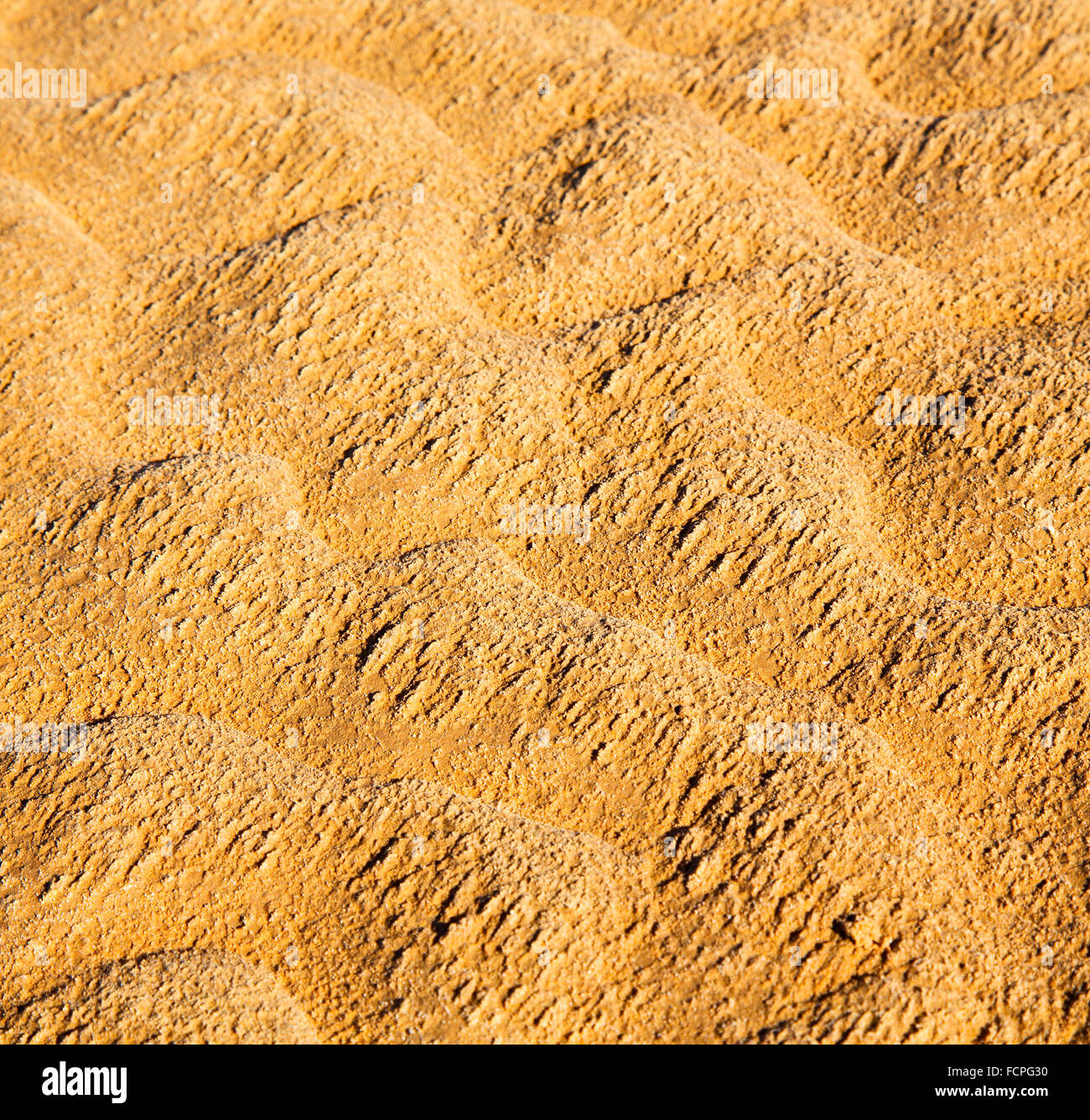 brown dry sand in sahara desert morocco africa erosion and abstract ...