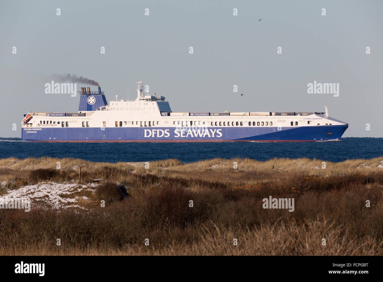 The DFDS ro/ro-vessel Ficaria Seaways passes Skagen on route from ...