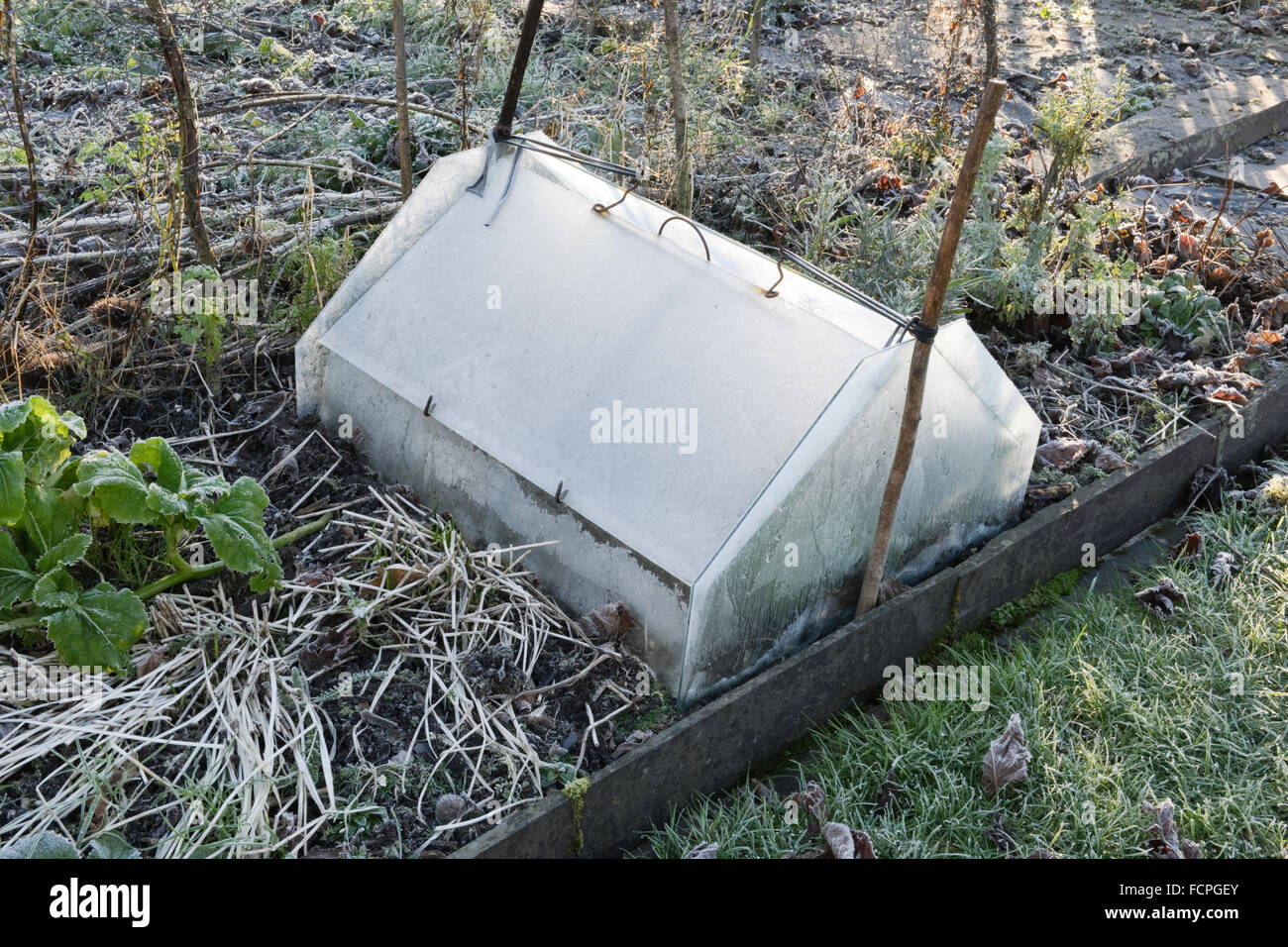 Glass garden cloche hi-res stock photography and images - Alamy