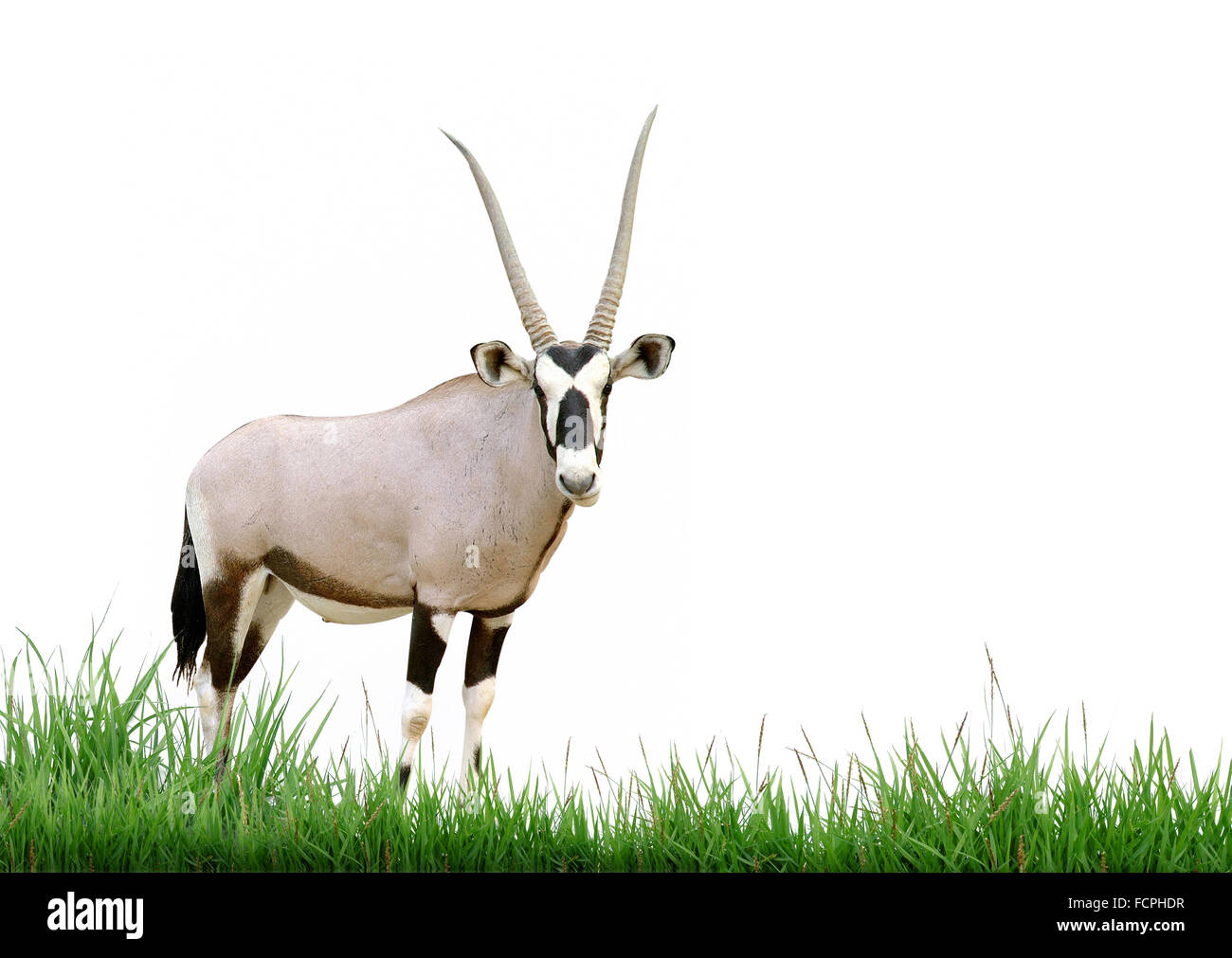 Green development africa hi-res stock photography and images - Alamy