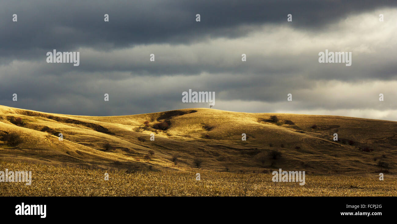 Windy shapes hi-res stock photography and images - Alamy