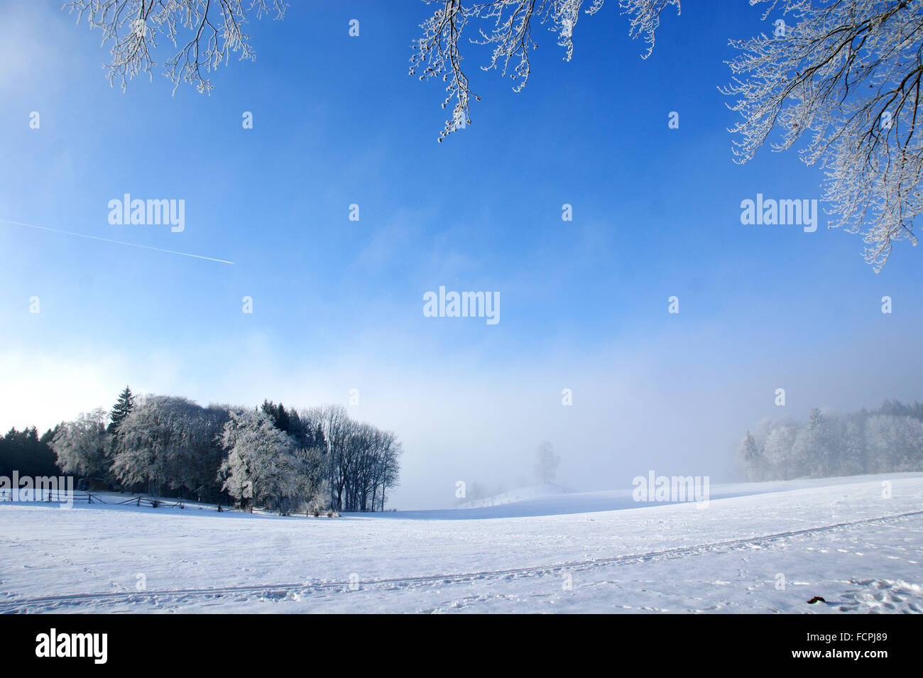 Frozen morning landscape Stock Photo - Alamy