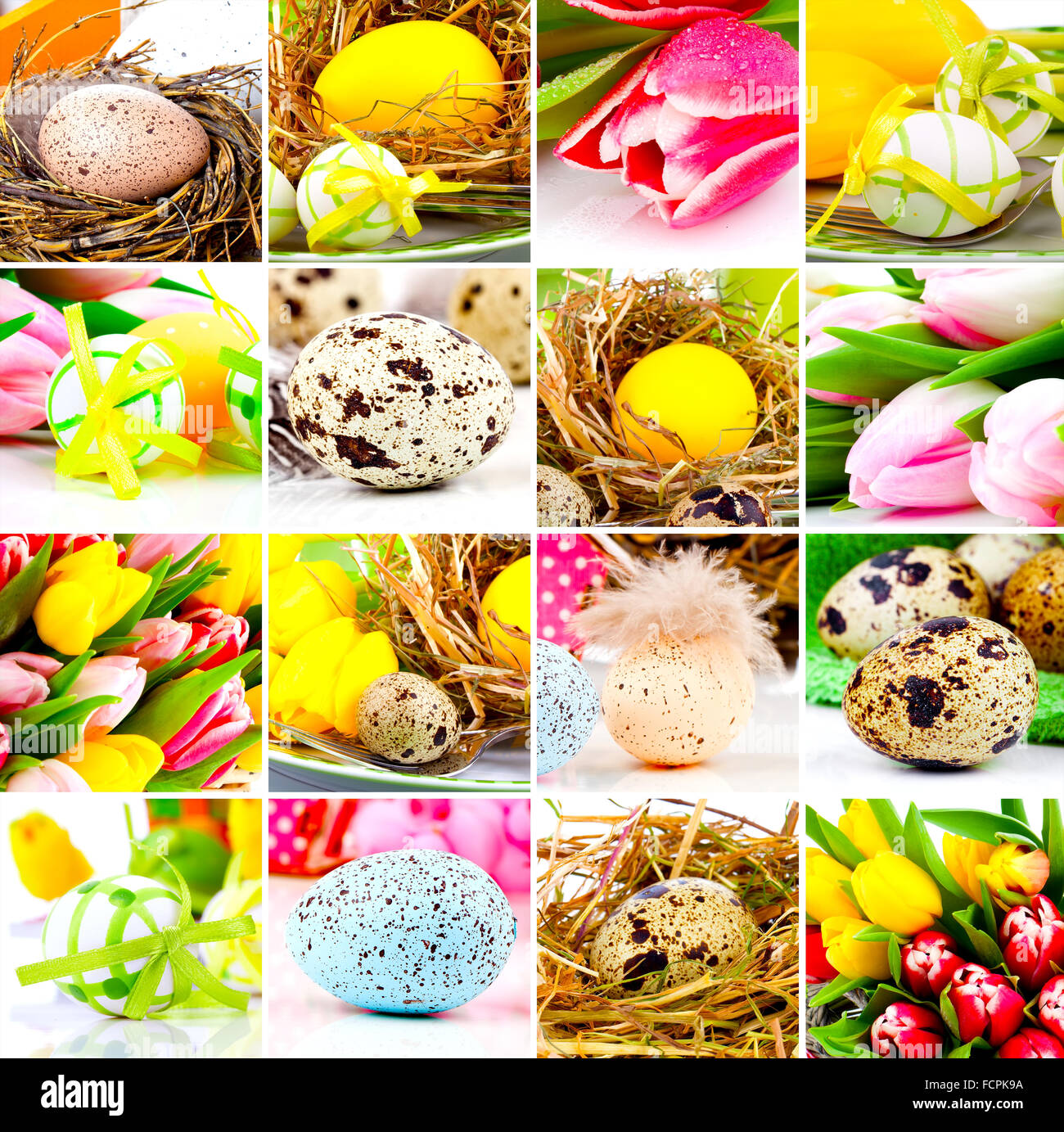 Spring collage hi-res stock photography and images - Alamy