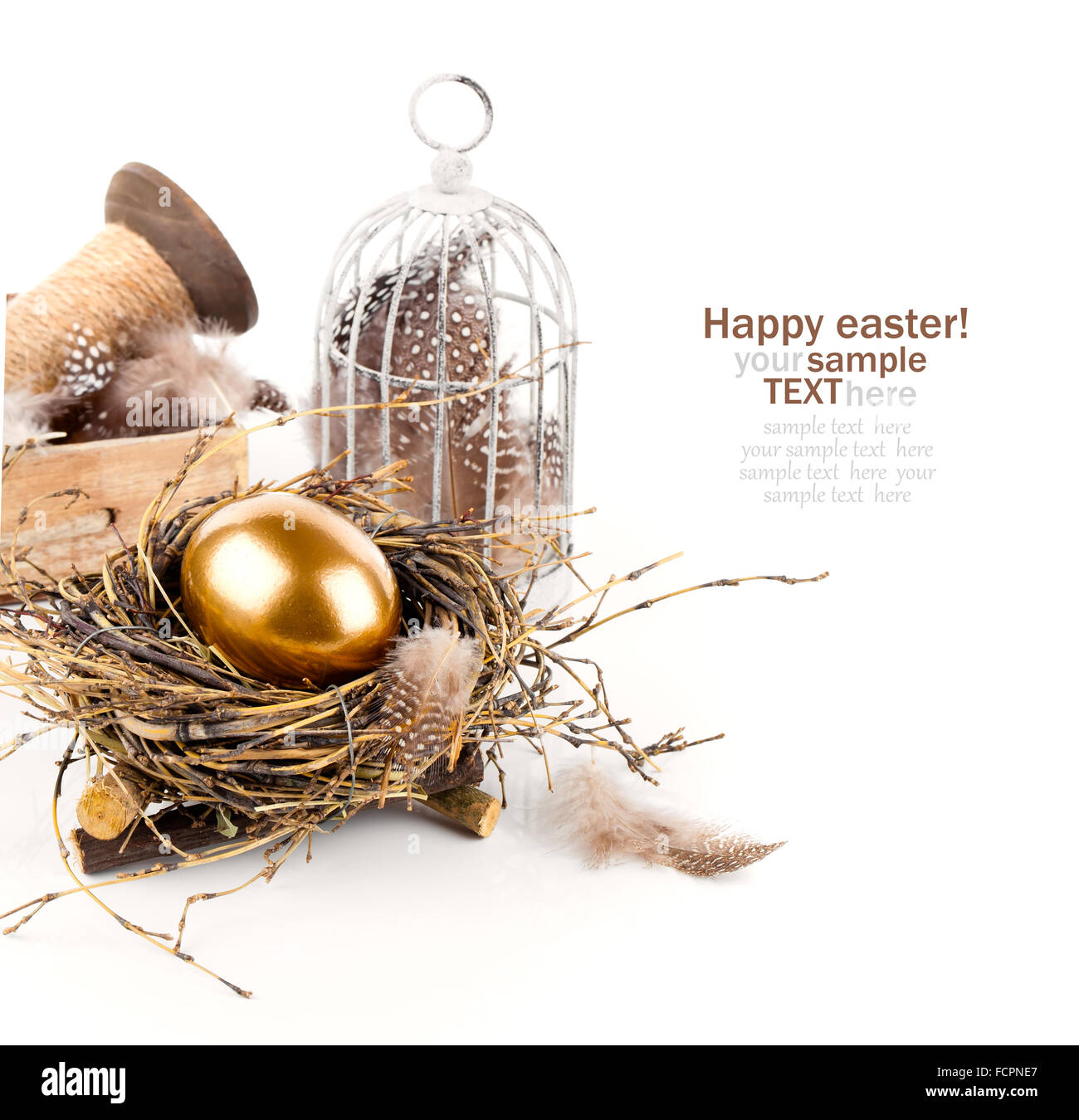 Animal space hi-res stock photography and images - Alamy