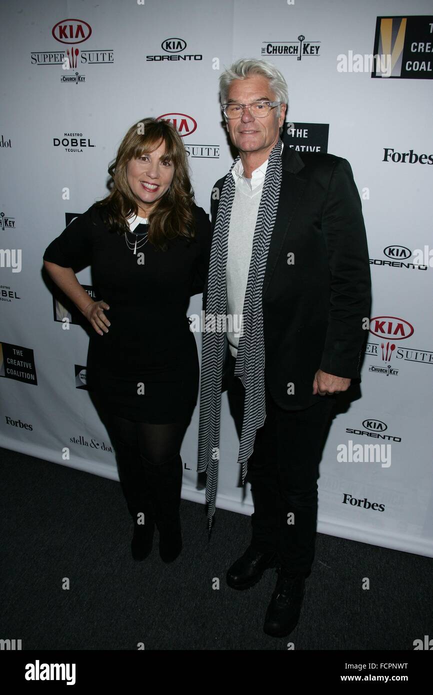 Robin bronk hi-res stock photography and images - Alamy