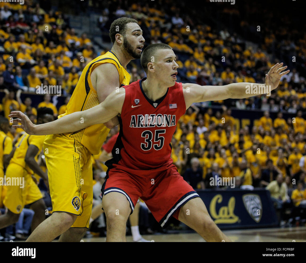 Jan 23 2016 - Berkeley U.S. CA Arizona C # 35 Kaleb Tarczewski scored ...