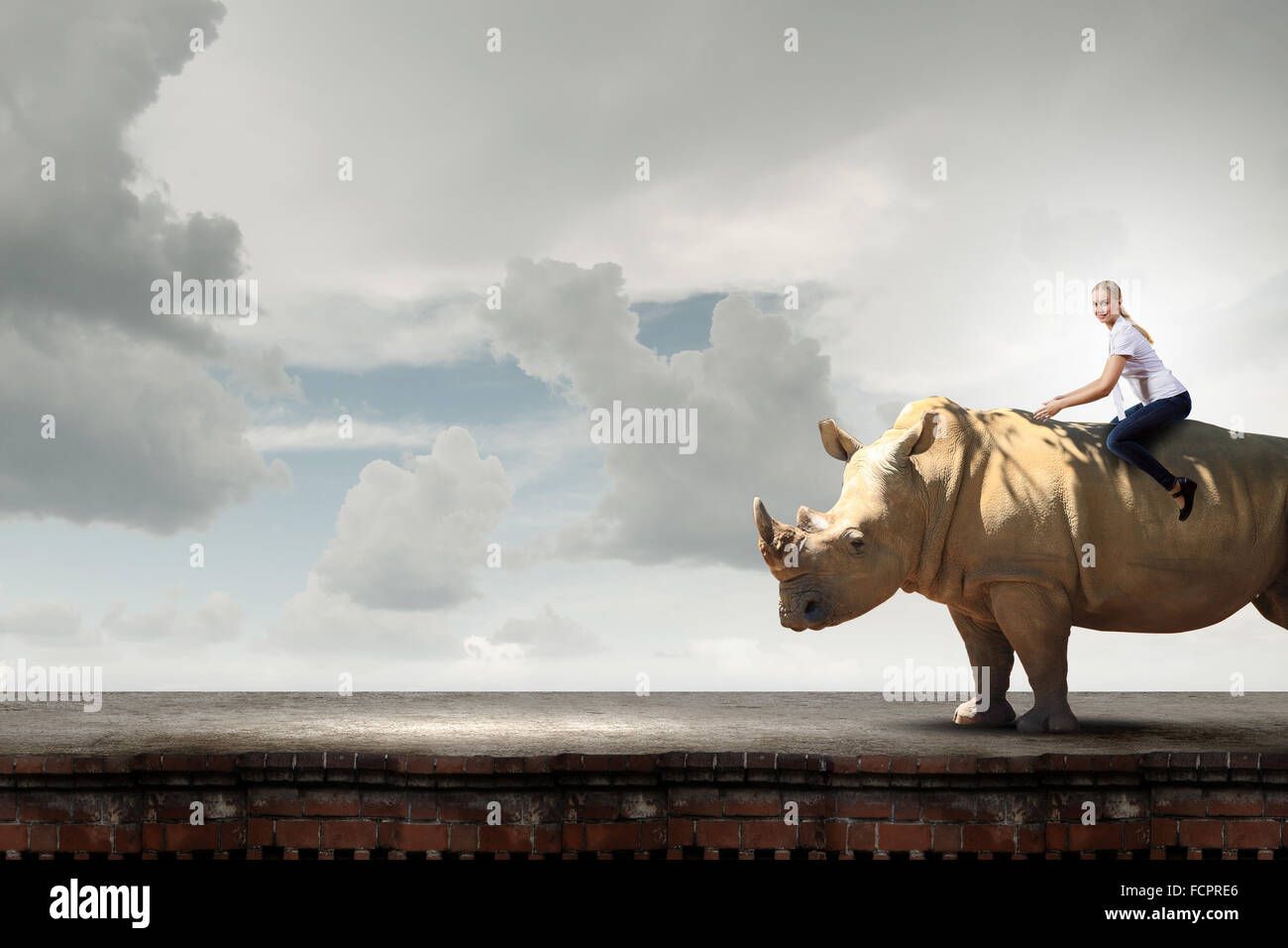Riding Rhino
