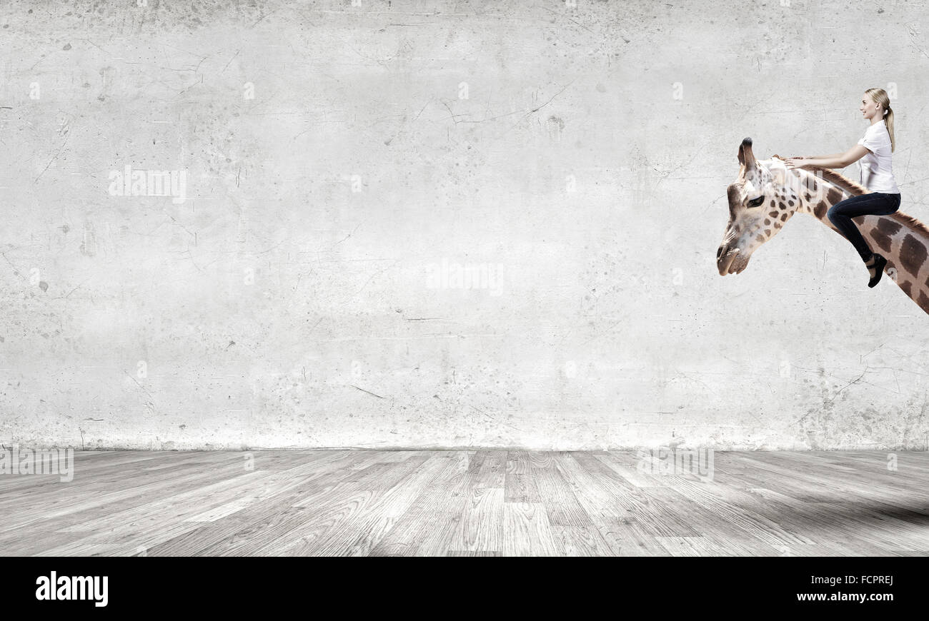 Young pretty fearless woman riding giraffe animal Stock Photo - Alamy