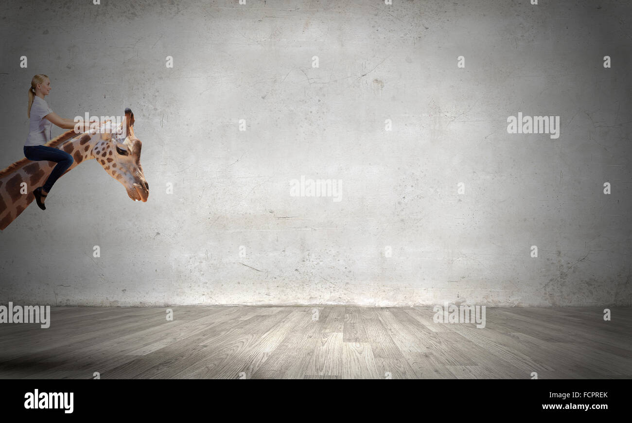Young pretty fearless woman riding giraffe animal Stock Photo - Alamy