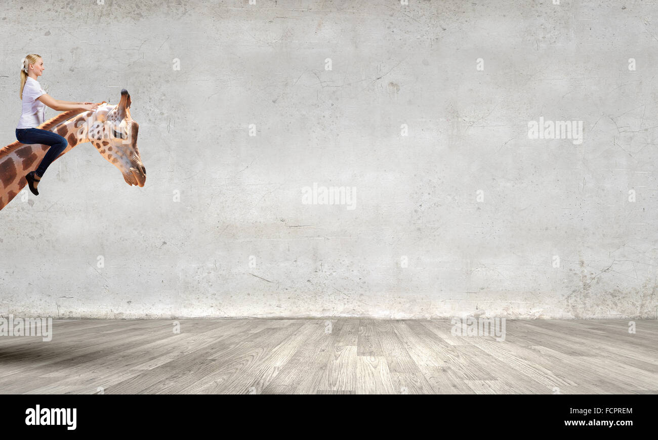 Young pretty fearless woman riding giraffe animal Stock Photo - Alamy