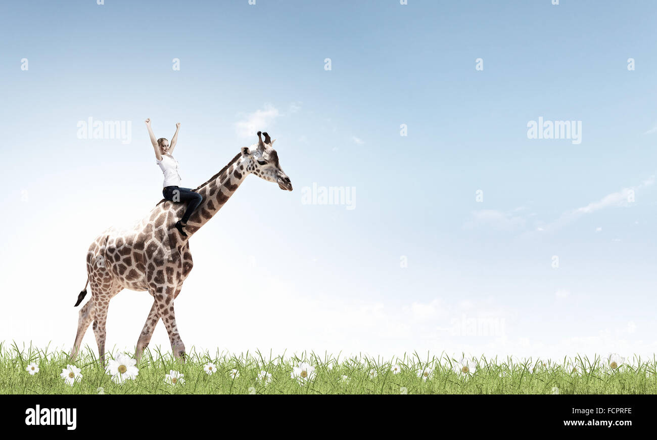 Young pretty fearless woman riding giraffe animal Stock Photo - Alamy