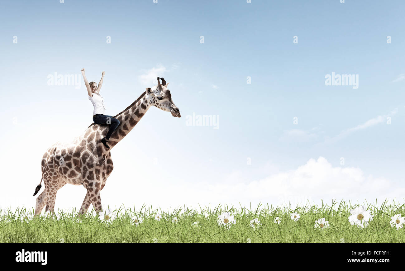 Young pretty fearless woman riding giraffe animal Stock Photo - Alamy