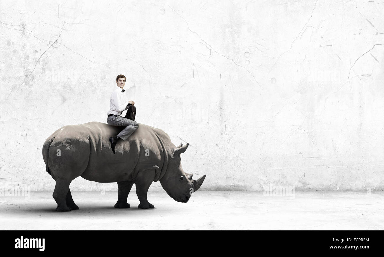Young handsome fearless man riding huge rhino Stock Photo - Alamy