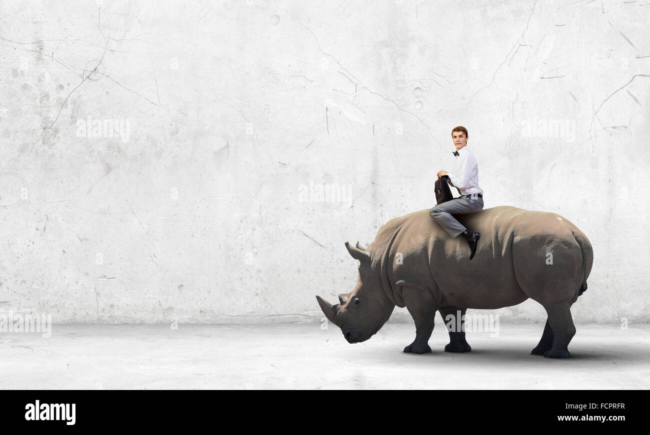 Young handsome fearless man riding huge rhino Stock Photo - Alamy